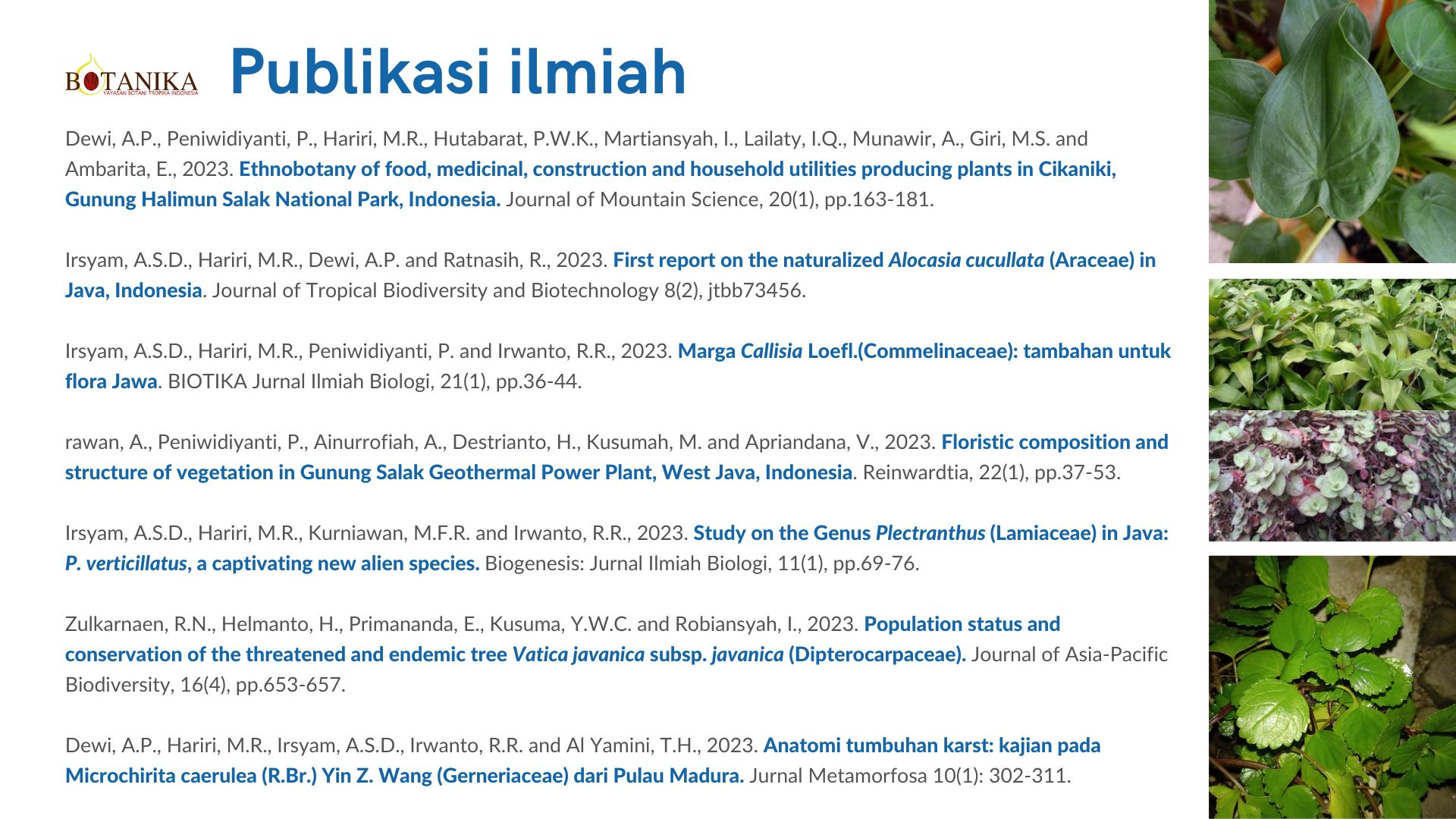 Antara Refleksi dan Proyeksi: Sebuah Komitmen Botanika dalam Mendorong ...