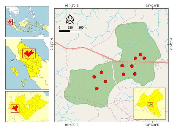 Structure, composition and diversity of tree species in Martelu Purba ...